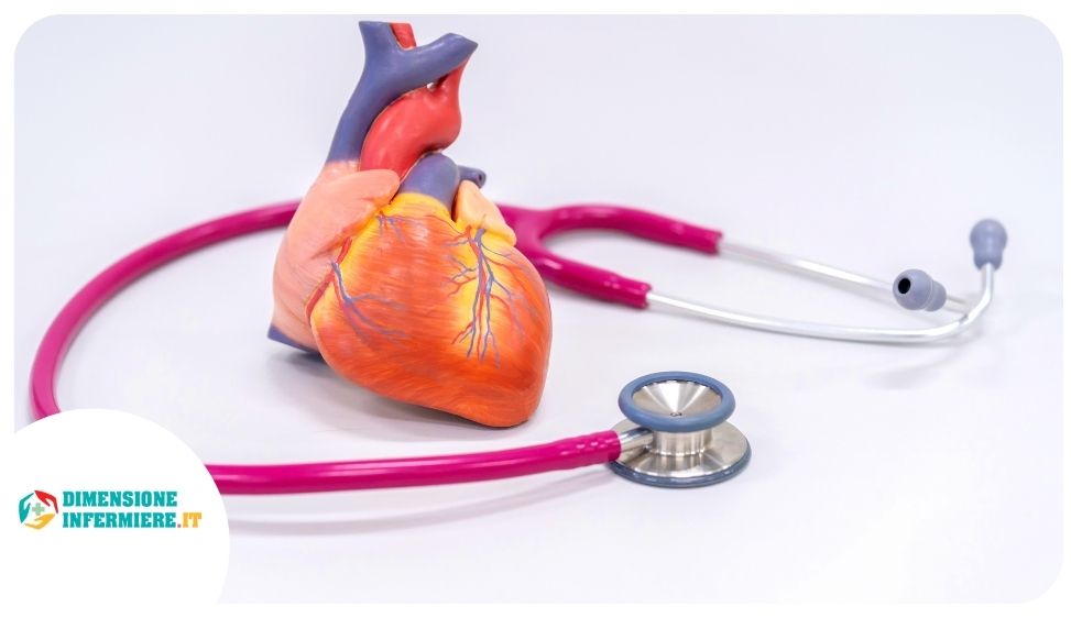 La mappa dei segmenti cardiaci: come orientarsi quando parliamo di infarto